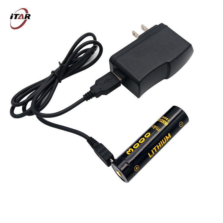 18650 3200 Mah Lithium Ion Battery 3.7 V Rechargeable Cell With USB ...