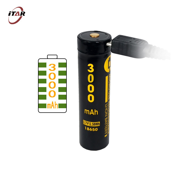 Fast Charging Li Ion Rechargeable Batteries 2900mAh With USB Type C ...